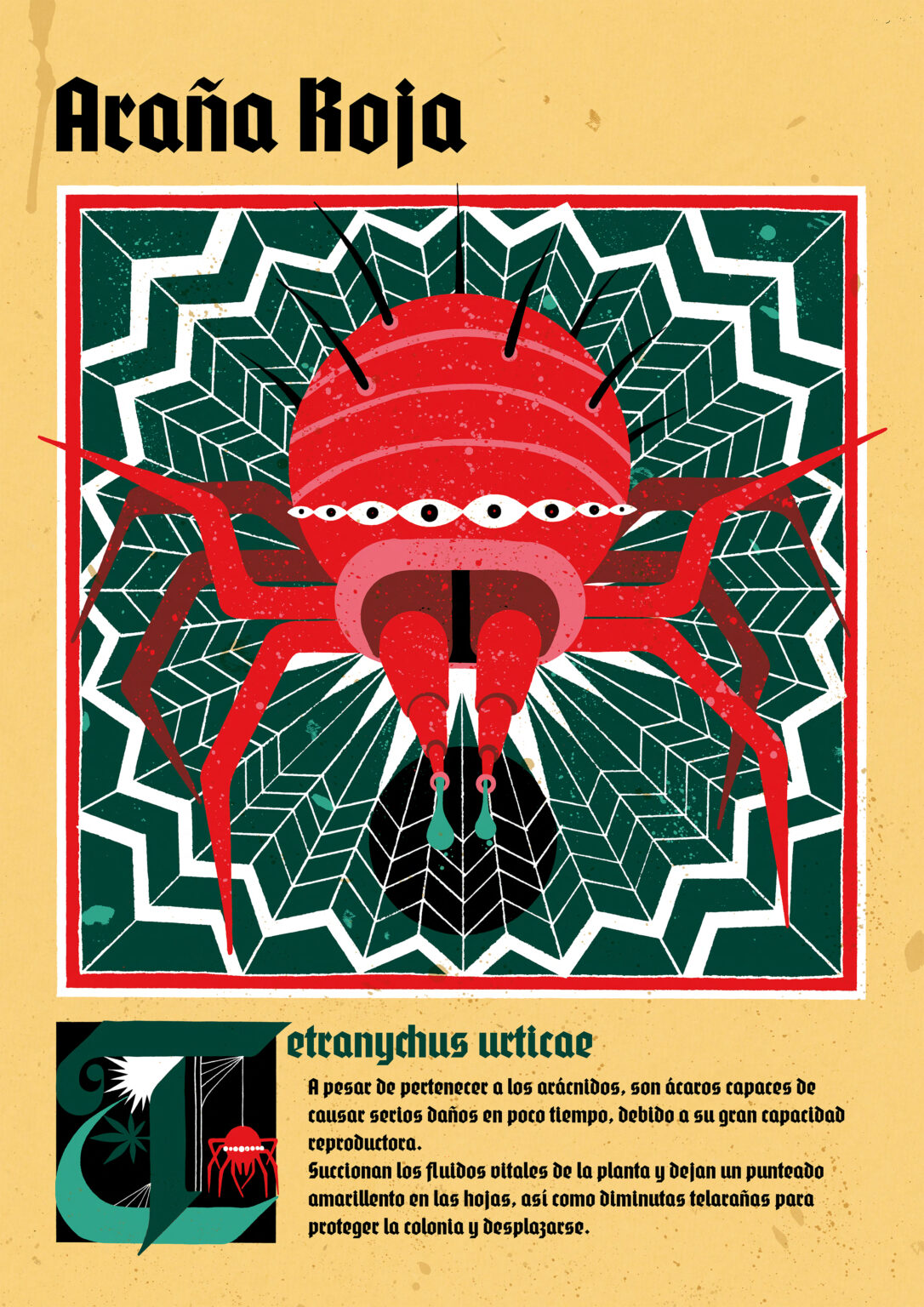 Home - Daniel Montero Galán